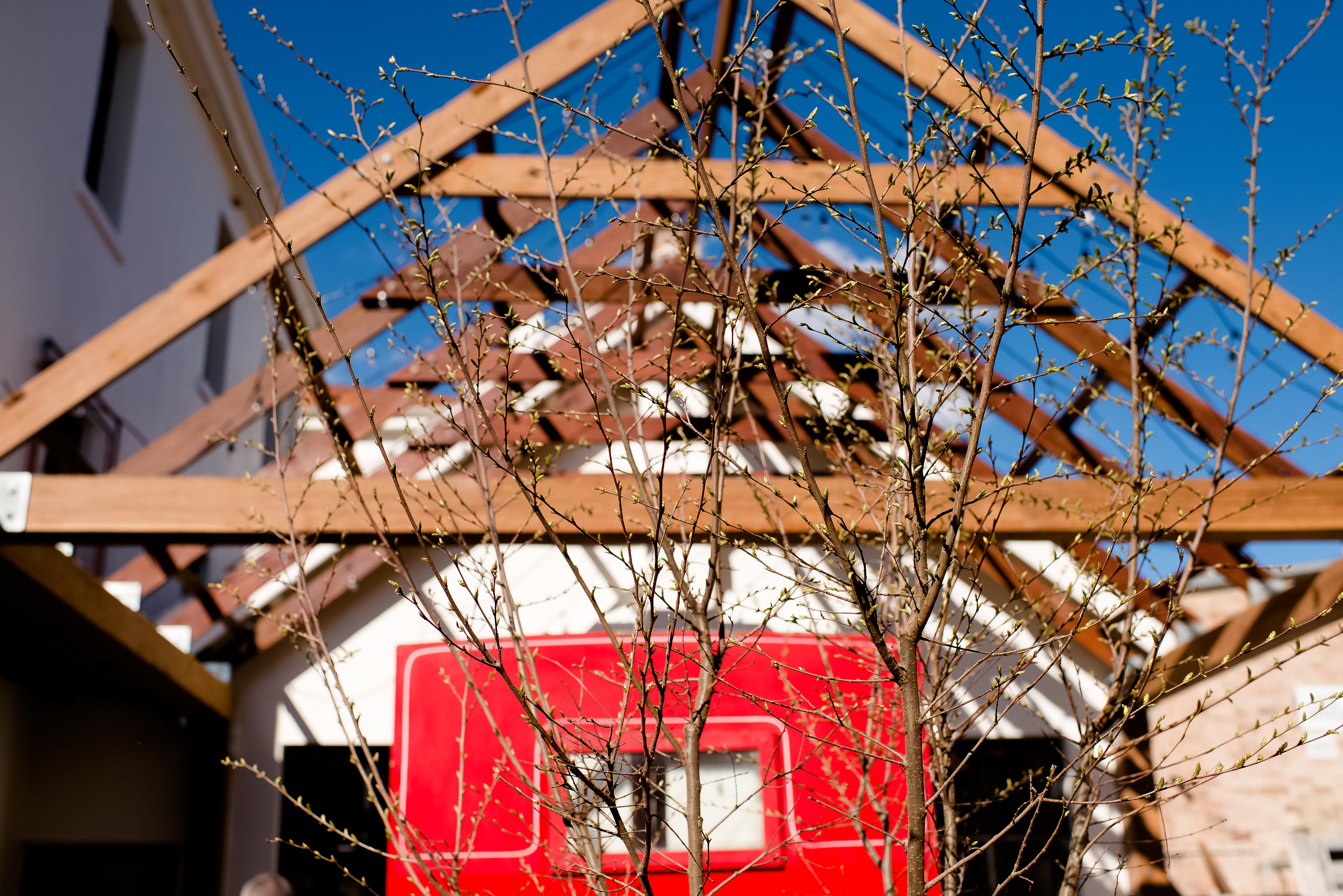 My Inner West Address | 20170901-DSC_2865